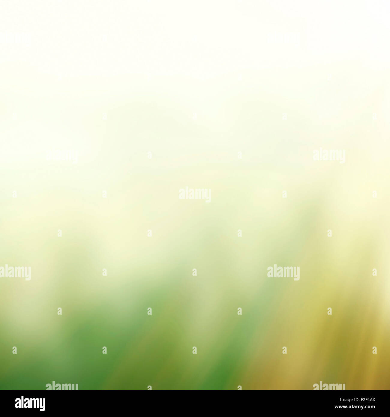 blurry unfocused background Stock Photo - Alamy