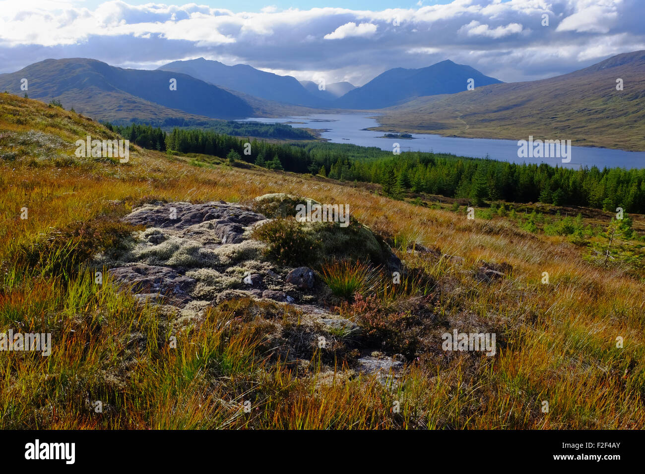 Looking west along Loch Loyne towards Glen Quoich in the West Highlands ...
