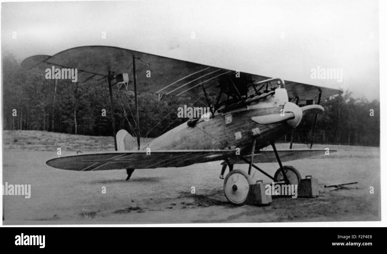 A 1918 photo of the DFW DII, a German biplane used during World War I ...