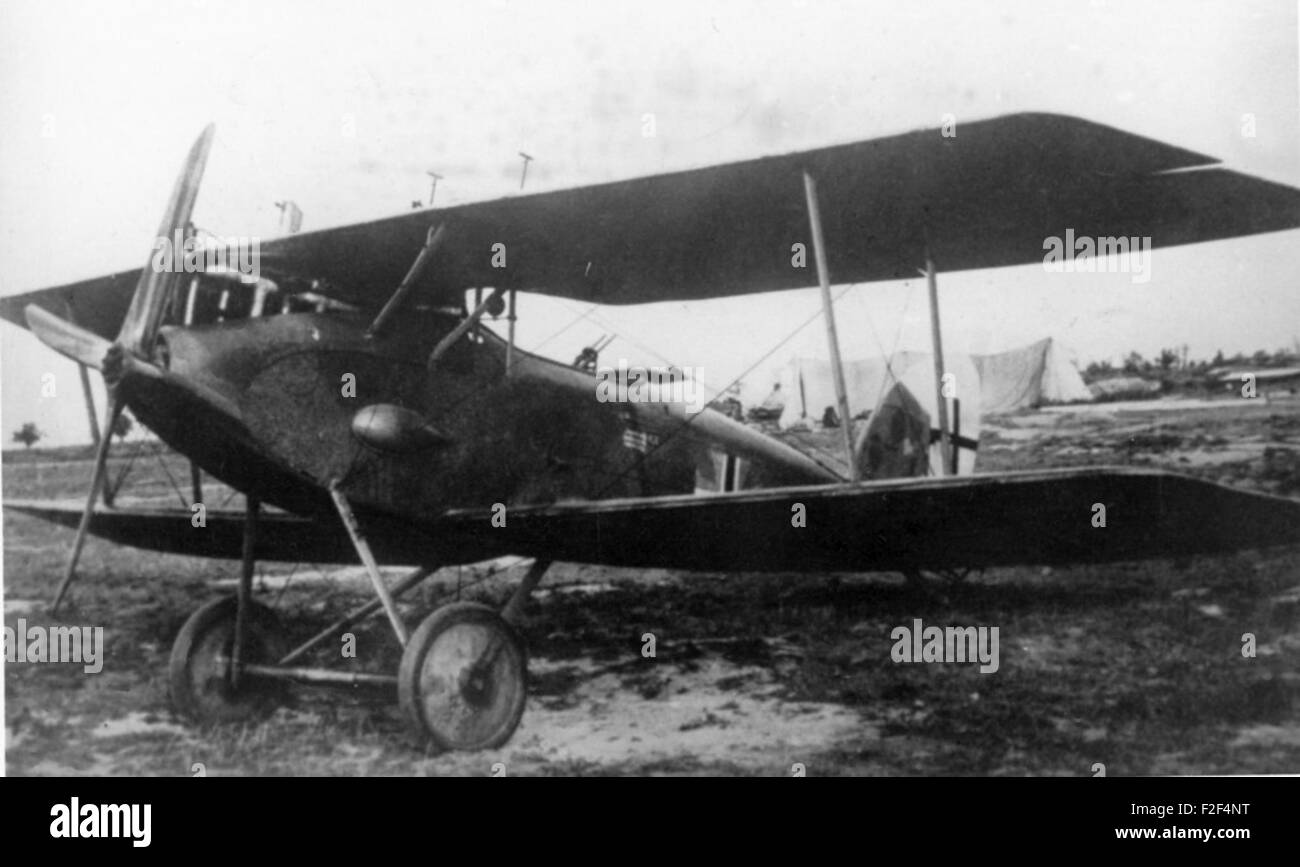 Halberstadt cl ii hi-res stock photography and images - Alamy