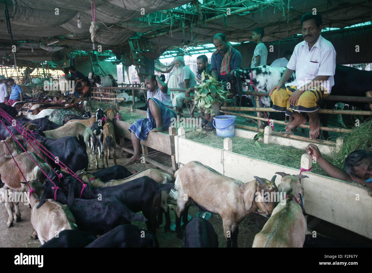 Traders wait hi-res stock photography and images - Alamy