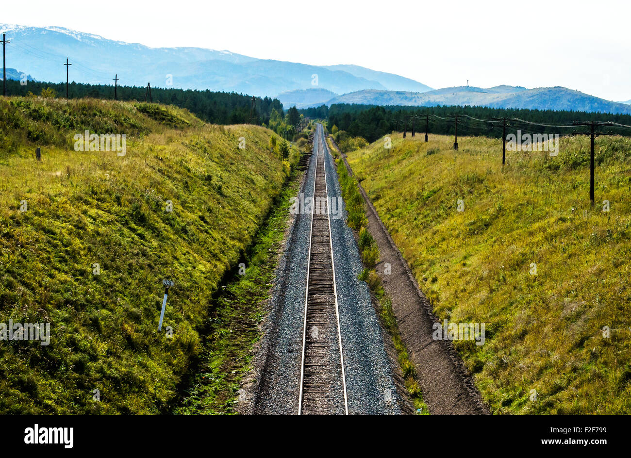 Forest journey hi-res stock photography and images - Alamy