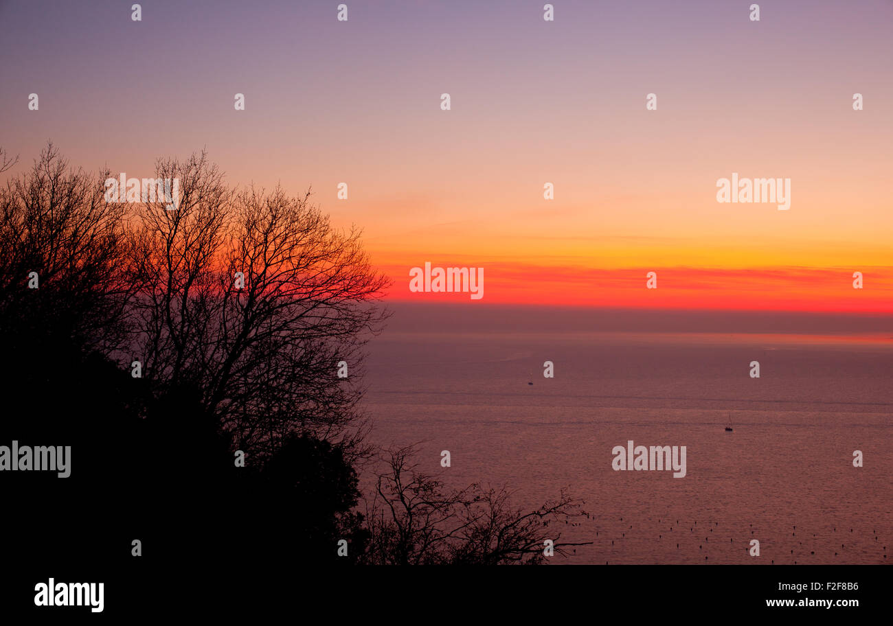 View of Tree and sunset, Trieste sea Stock Photo - Alamy