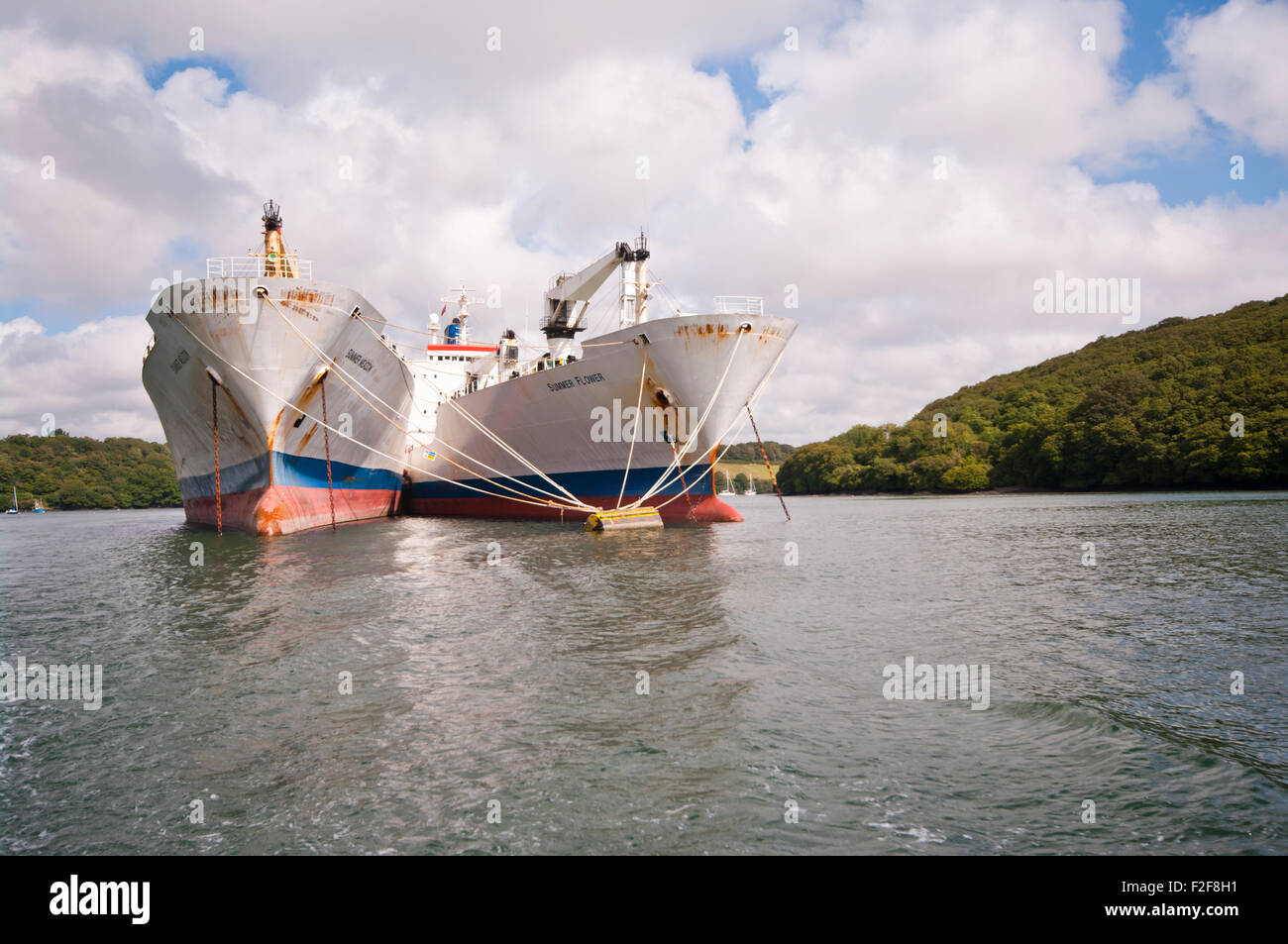 2 Large Reefer Ships Summer Meadow and Summer Flower laid Up On The ...
