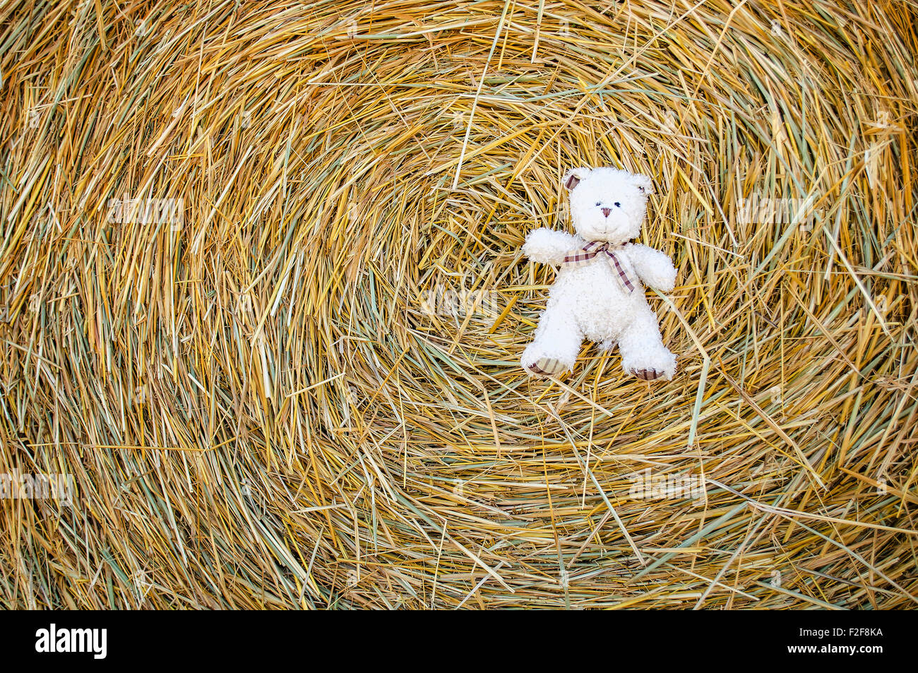 a toy bear in a haystack Stock Photo - Alamy