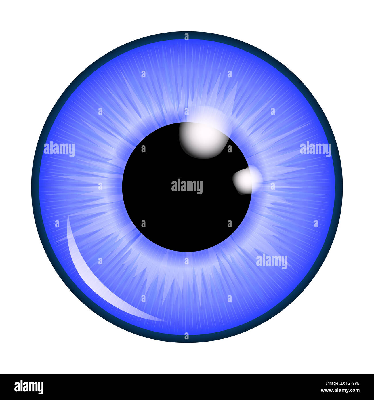 The pupil of the eye, eye ball. Realistic vector illustration isolated ...
