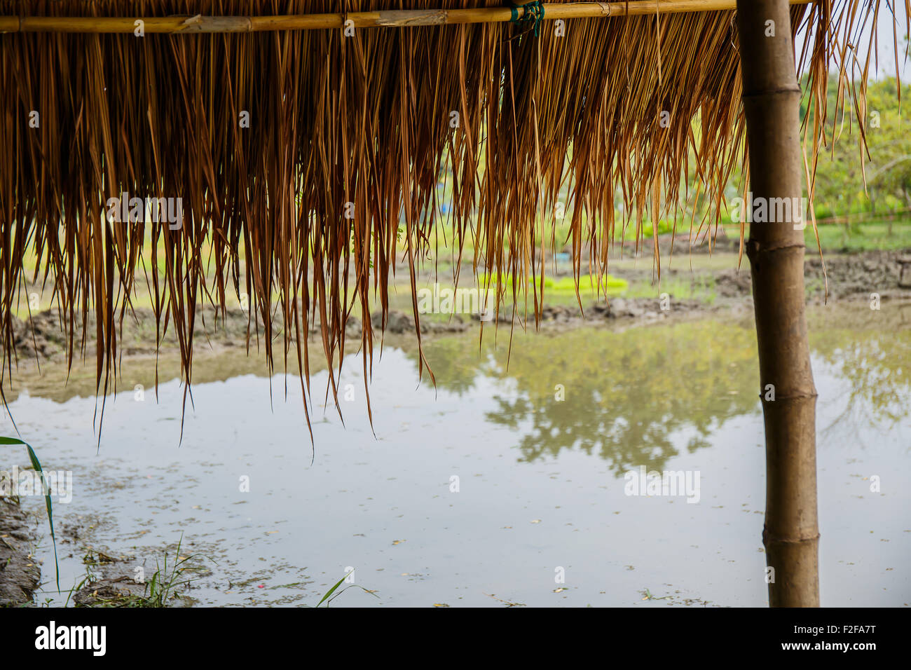 Tropical straw roof hut hi-res stock photography and images - Alamy