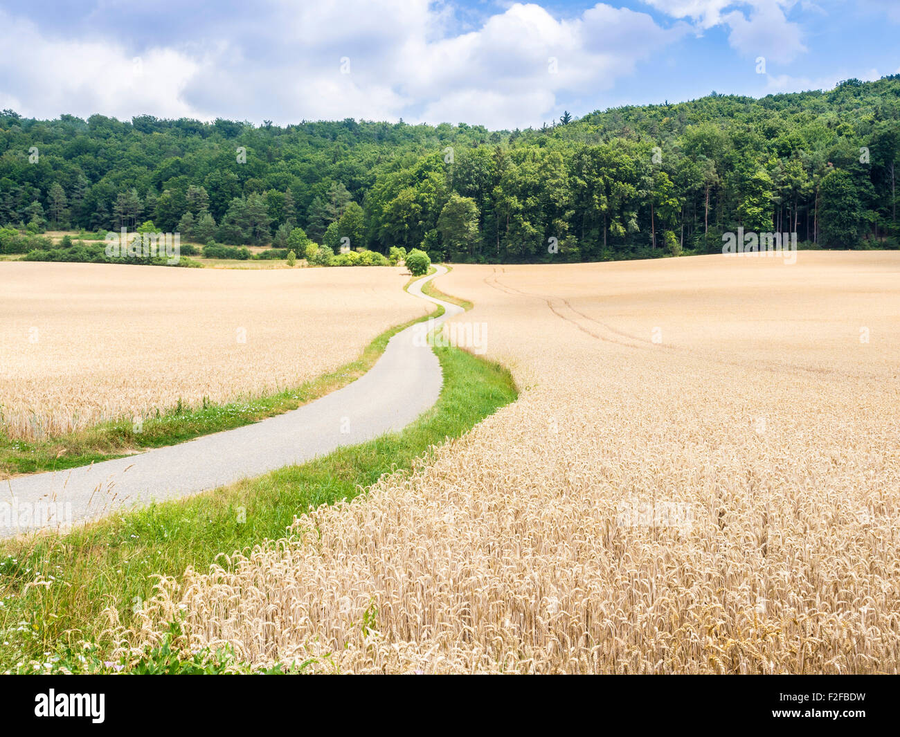 Windy road hi-res stock photography and images - Alamy