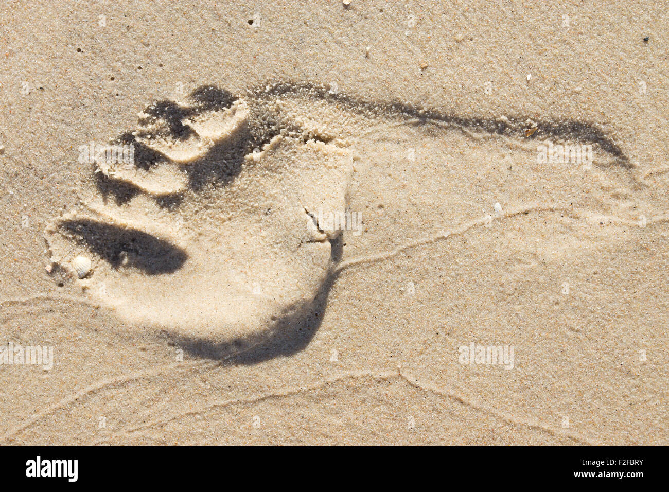 A single footprint in the sand at the beach Stock Photo - Alamy