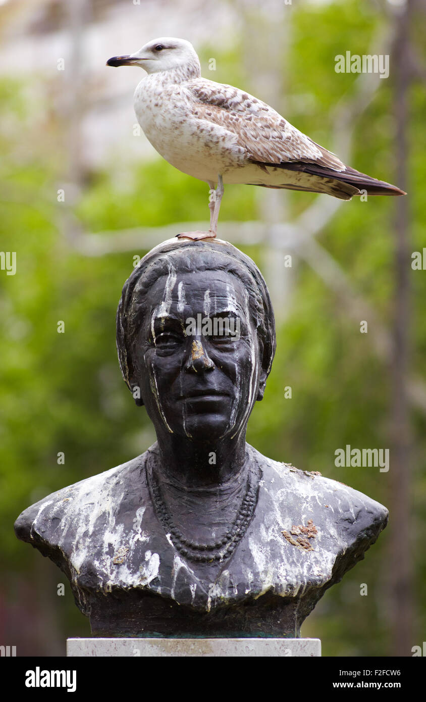Statue with a seagull on its head hi-res stock photography and images ...