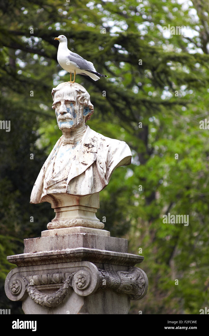 Statue with seagull on head hi-res stock photography and images - Alamy