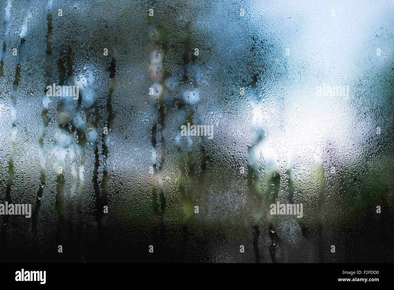 Condensation on a window with trees in background Stock Photo - Alamy