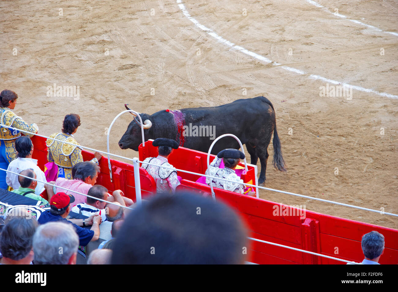 Spanish national amusement – corrida held at the arena of La Monumental ...