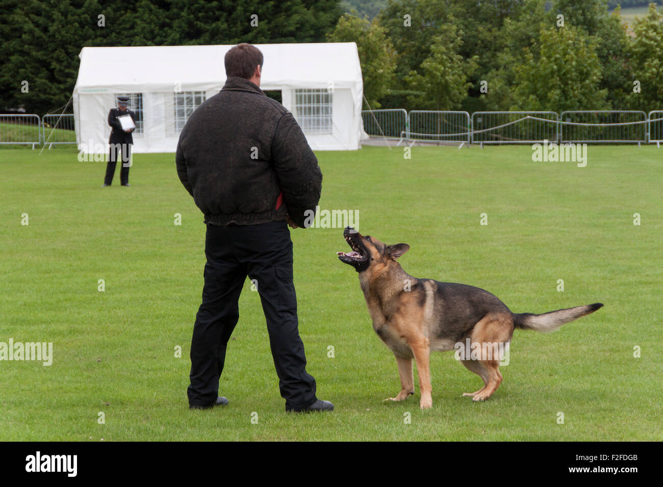 Snarling german shepherd hi-res stock photography and images - Alamy