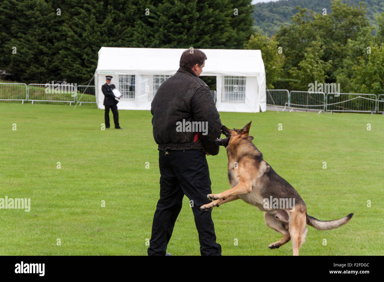 Law enforcement k9 hi-res stock photography and images - Alamy