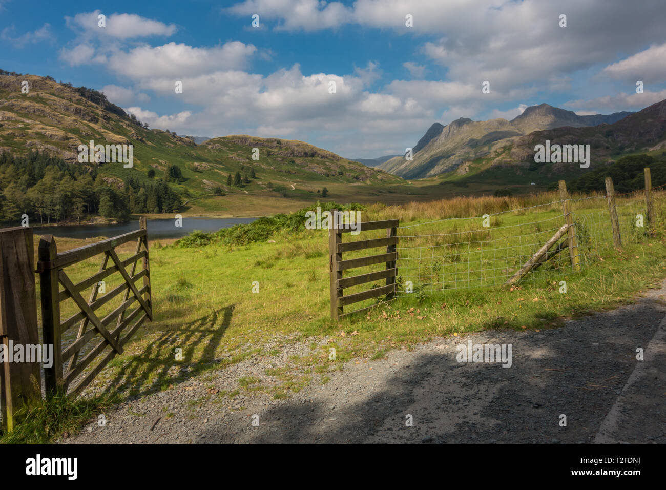 The famous landmark of Blea Tarn looking towards the Langdales in The ...