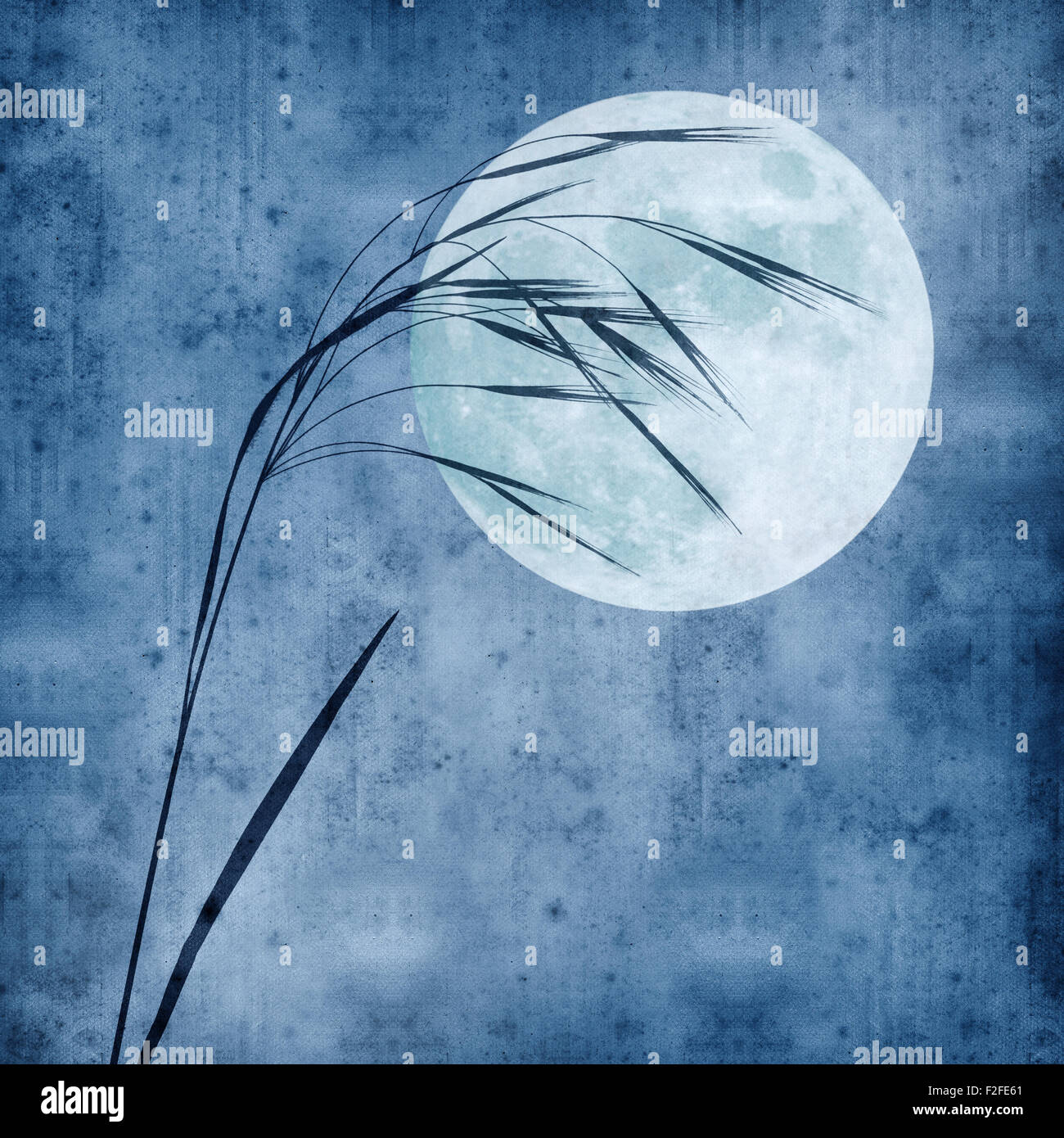 old paper background with grass stalk and full moon Stock Photo - Alamy
