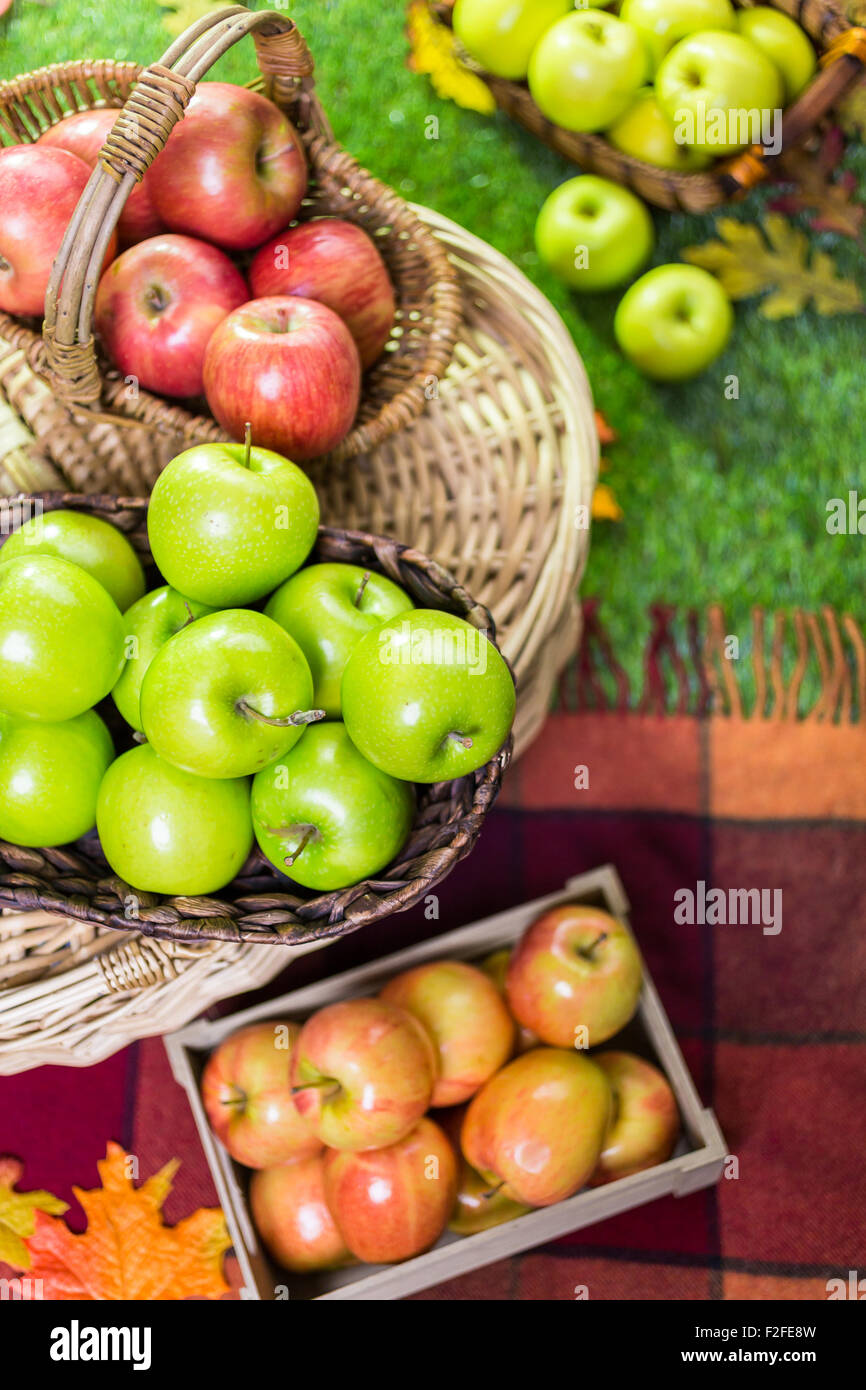 Freshly picked organic apples on the farm Stock Photo - Alamy