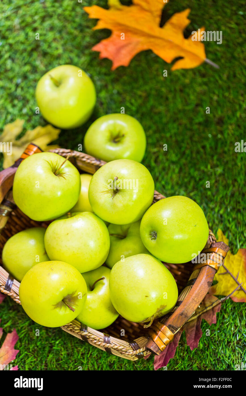 Freshly picked organic apples on the farm Stock Photo - Alamy