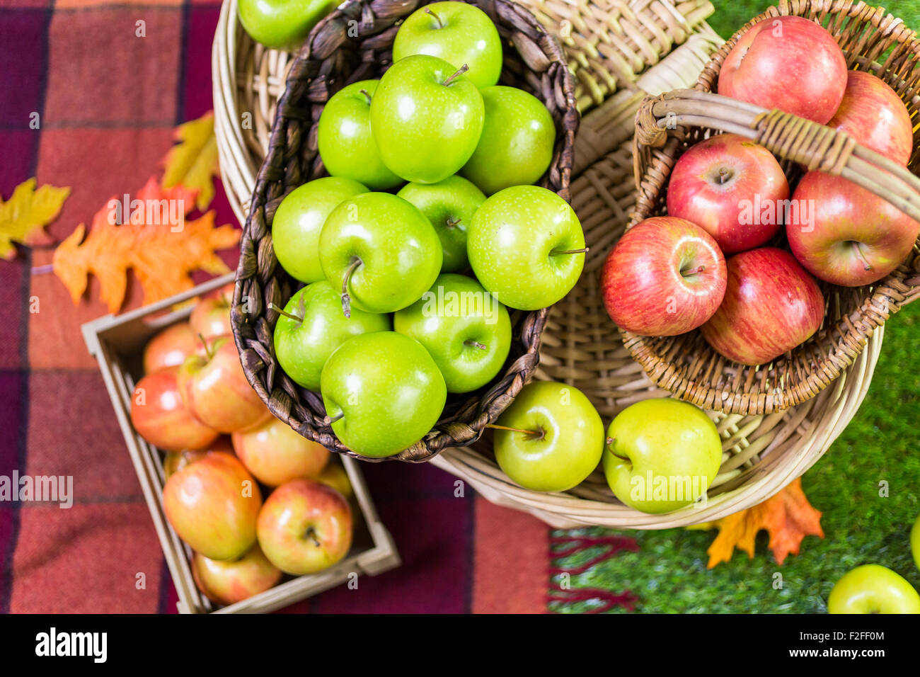 Freshly picked organic apples on the farm Stock Photo - Alamy