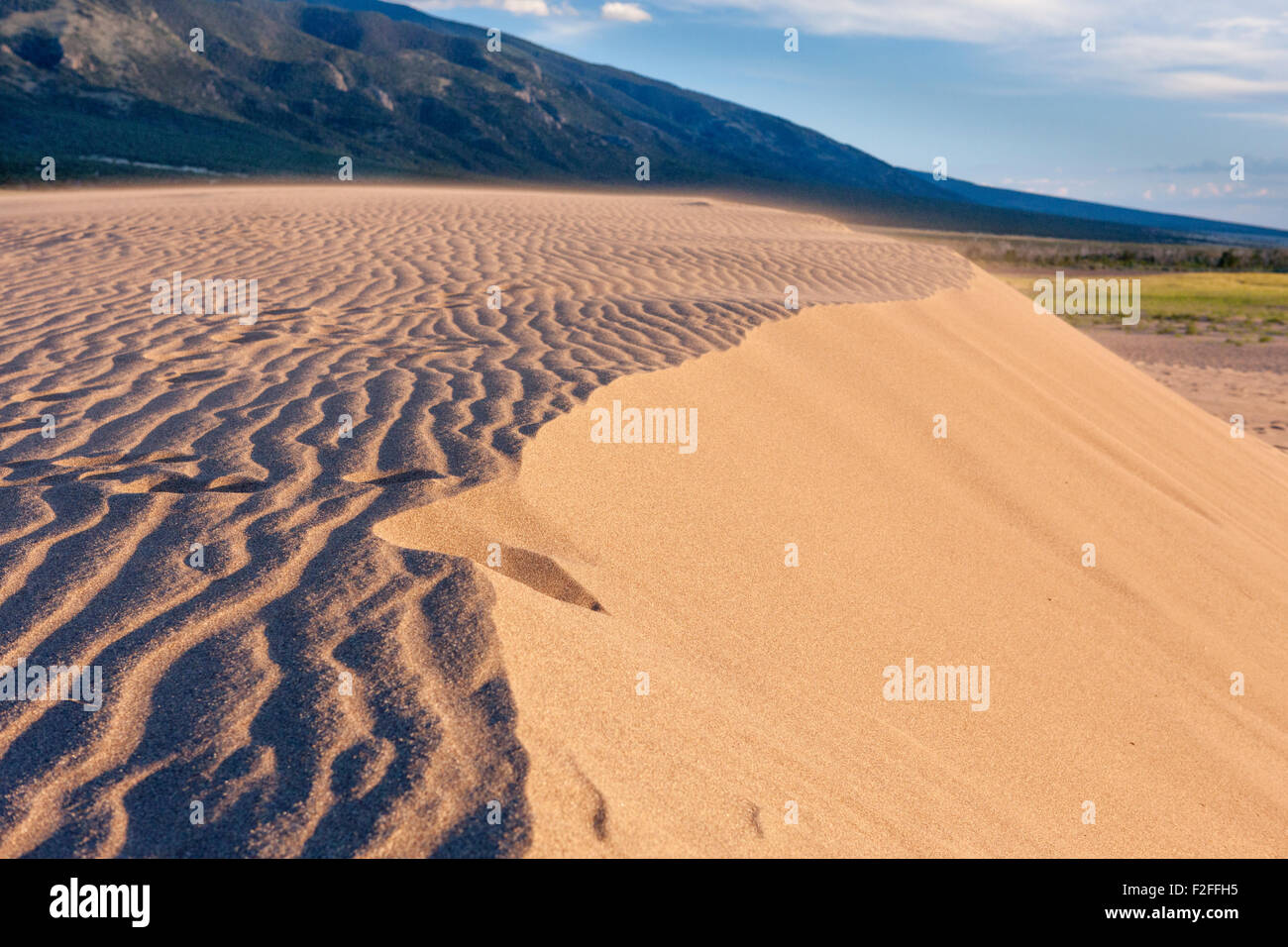 Evening view of wind blowing across a sand dune at Great Sand Dunes ...