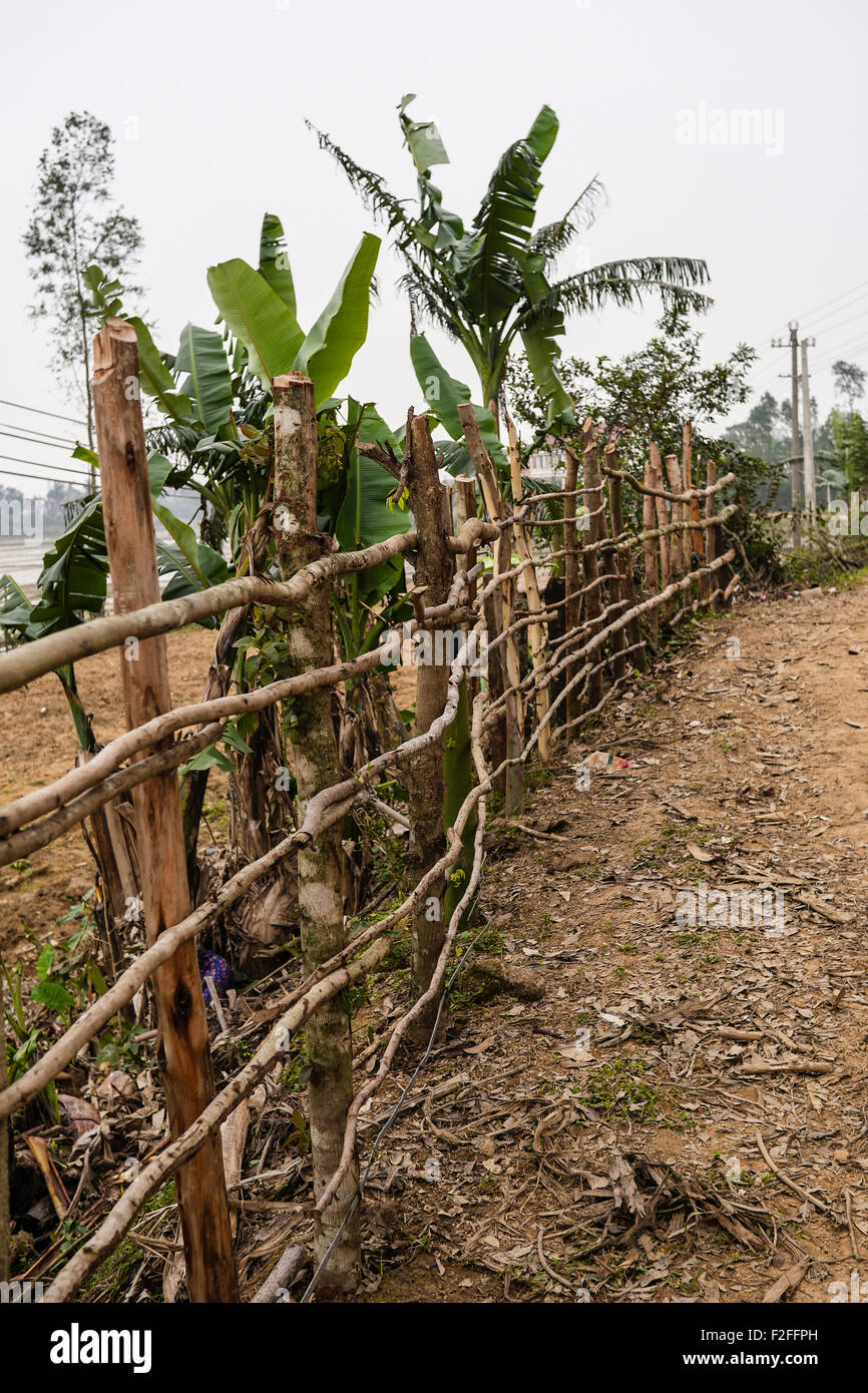Bamboo fence rural hi-res stock photography and images - Alamy