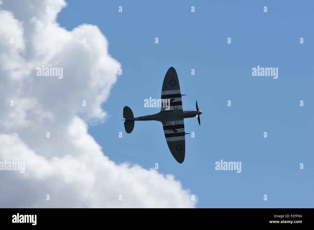 Supermarine Spitfire HF Mk1X underside with blue sky Stock Photo - Alamy