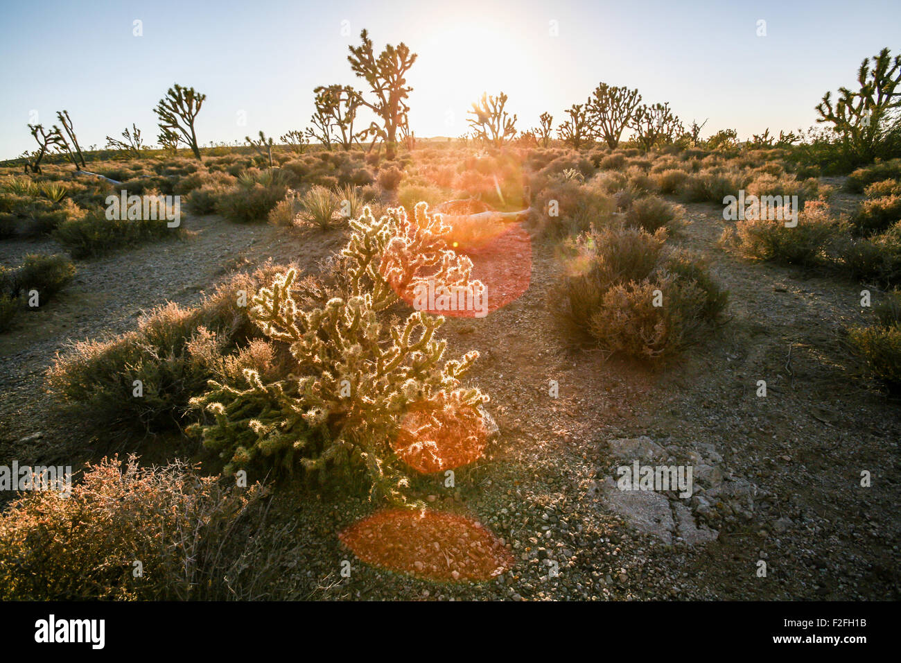 wild wild west Stock Photo - Alamy