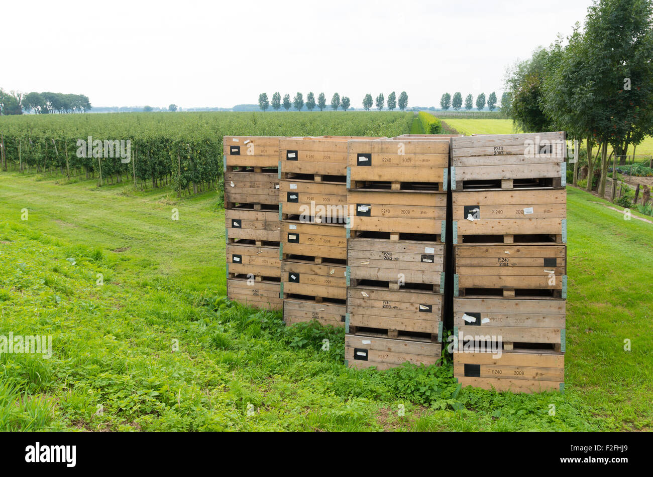 Empty crates hi-res stock photography and images - Alamy