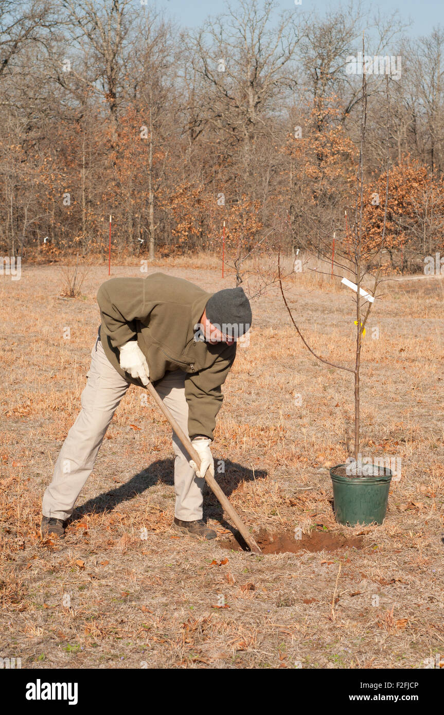 Man digging a hole hi-res stock photography and images - Alamy