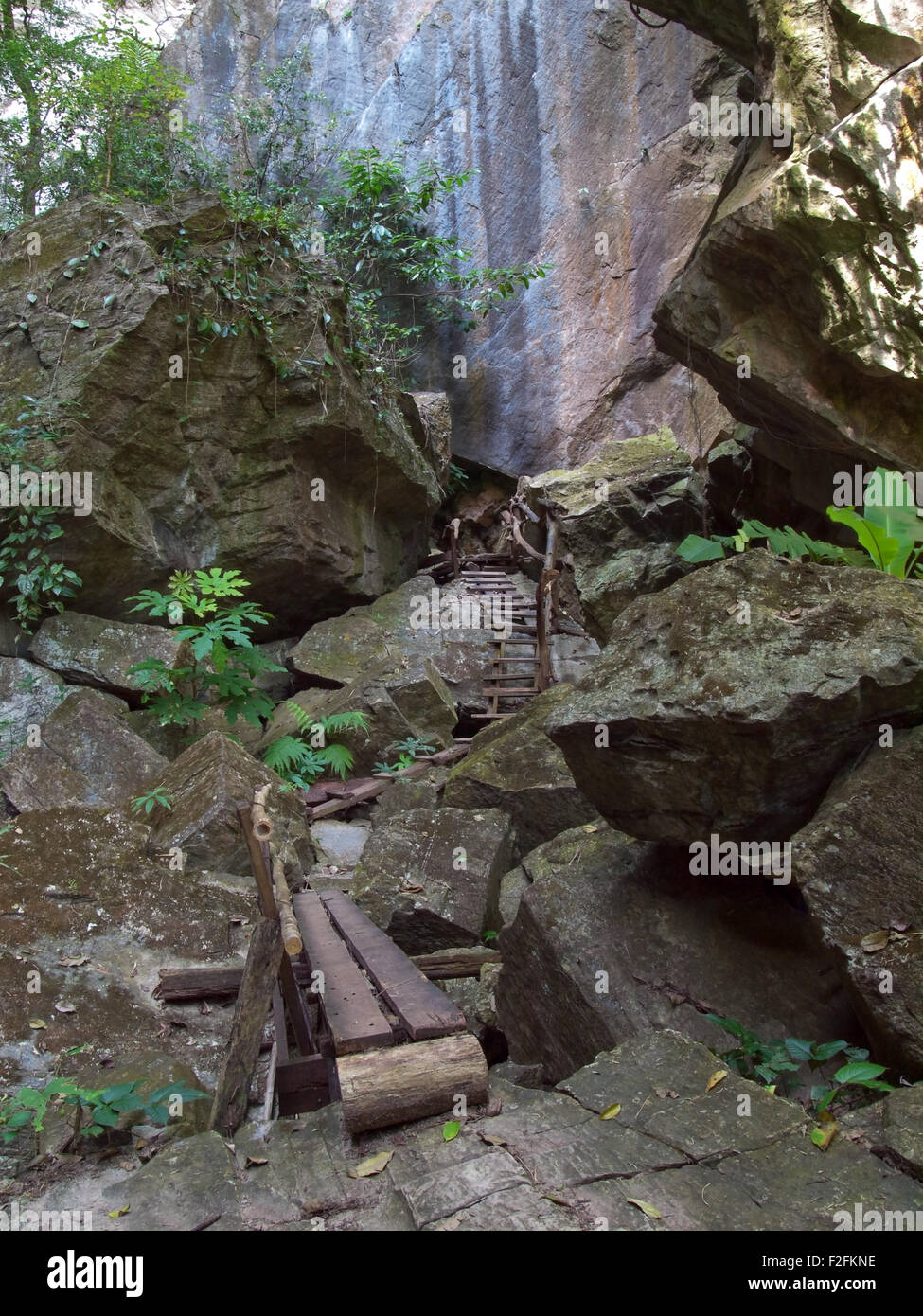 Cliff jungle hi-res stock photography and images - Alamy