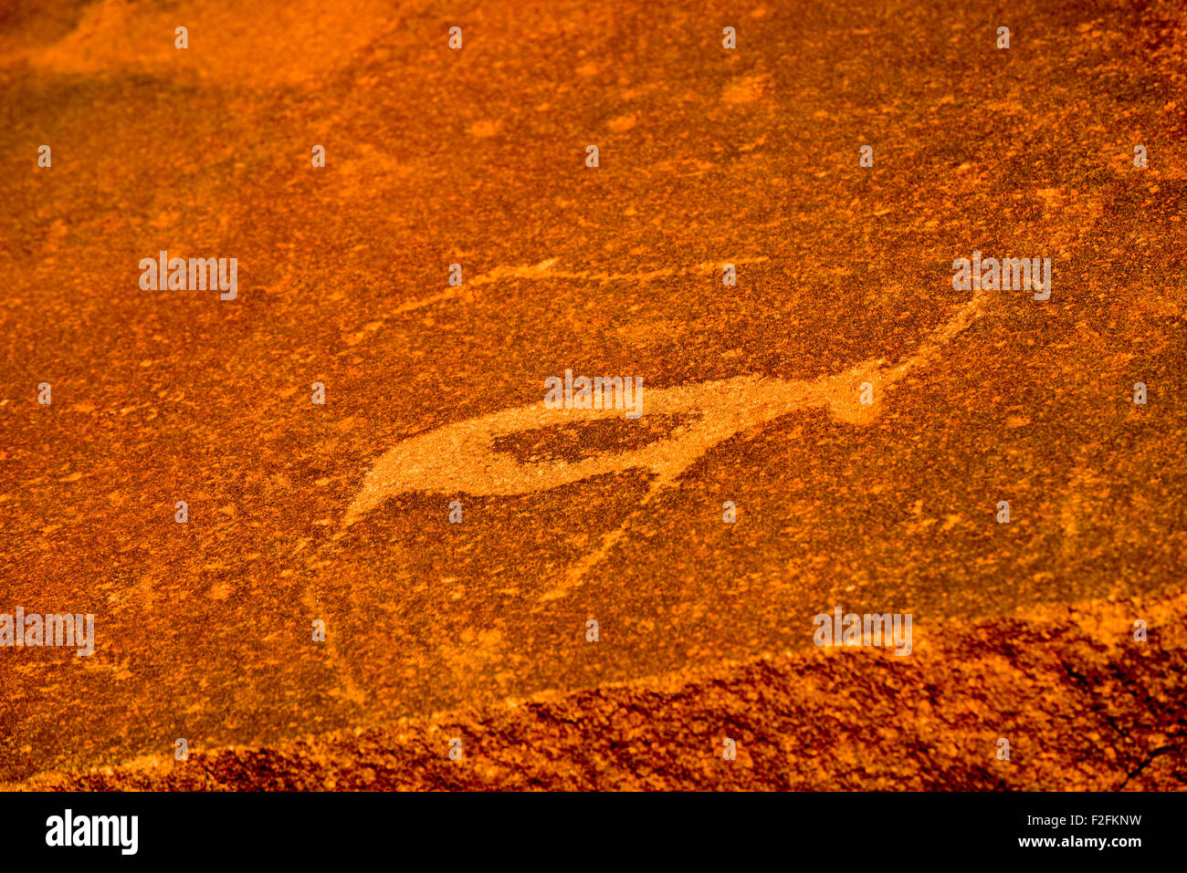 Bushman prehistoric rock engravings at the UNESCO World Heritage Center ...