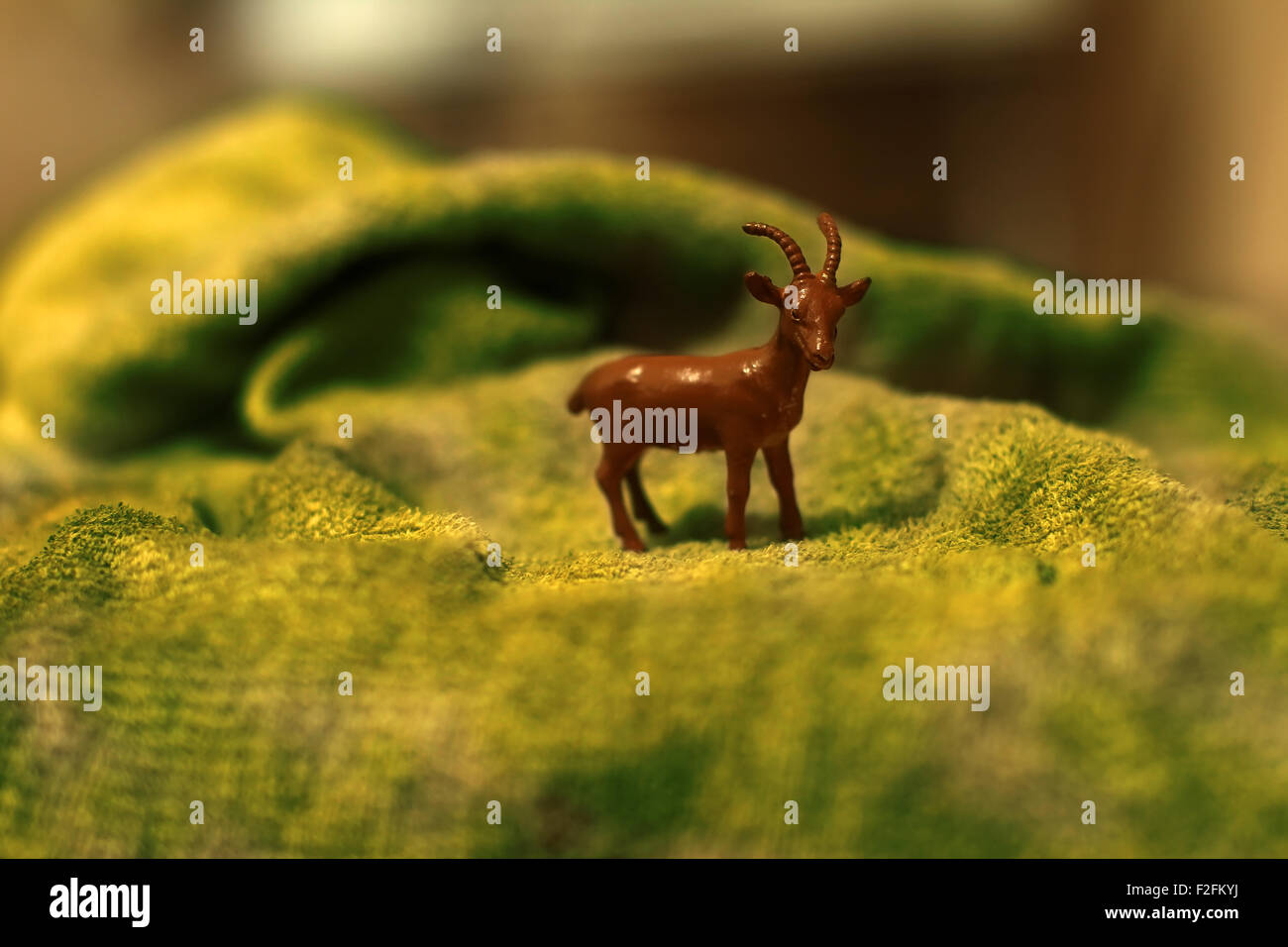 Plastic goat hi-res stock photography and images - Alamy