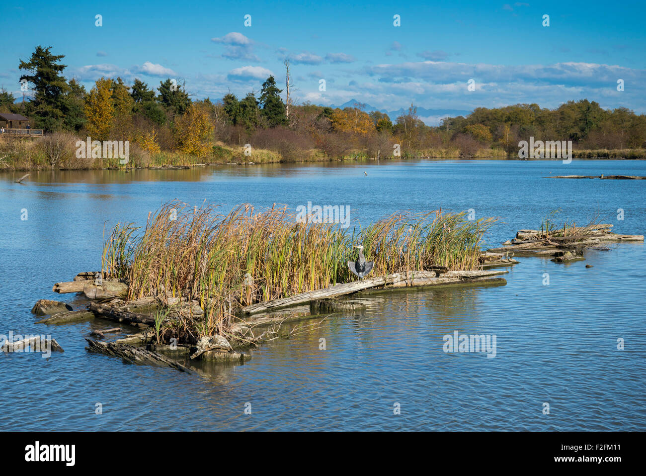 George reifel hi-res stock photography and images - Alamy