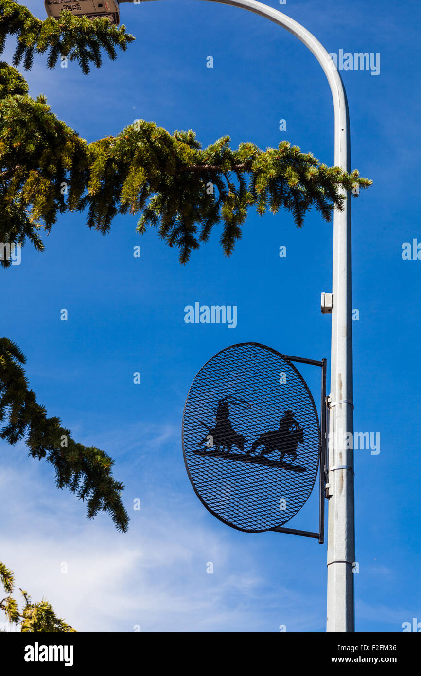 Street sign in Castor showing calf roping, Alberta, Canada Stock Photo ...