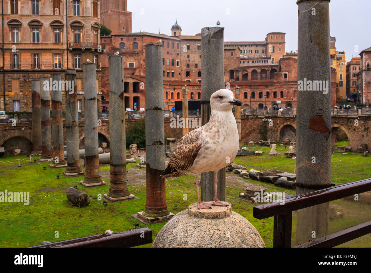 Imperial fora hi-res stock photography and images - Alamy