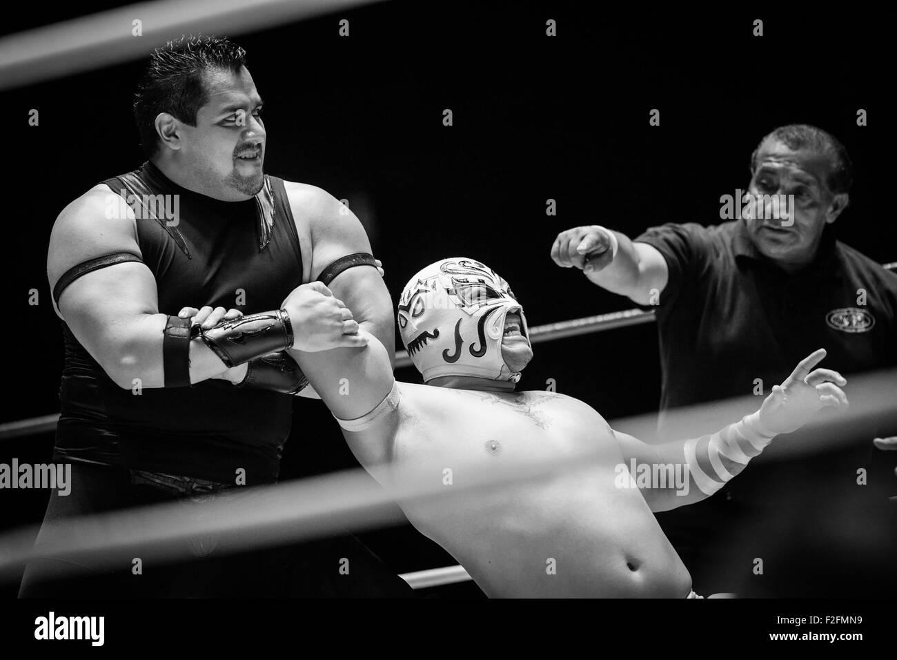 Cmll hi-res stock photography and images - Alamy