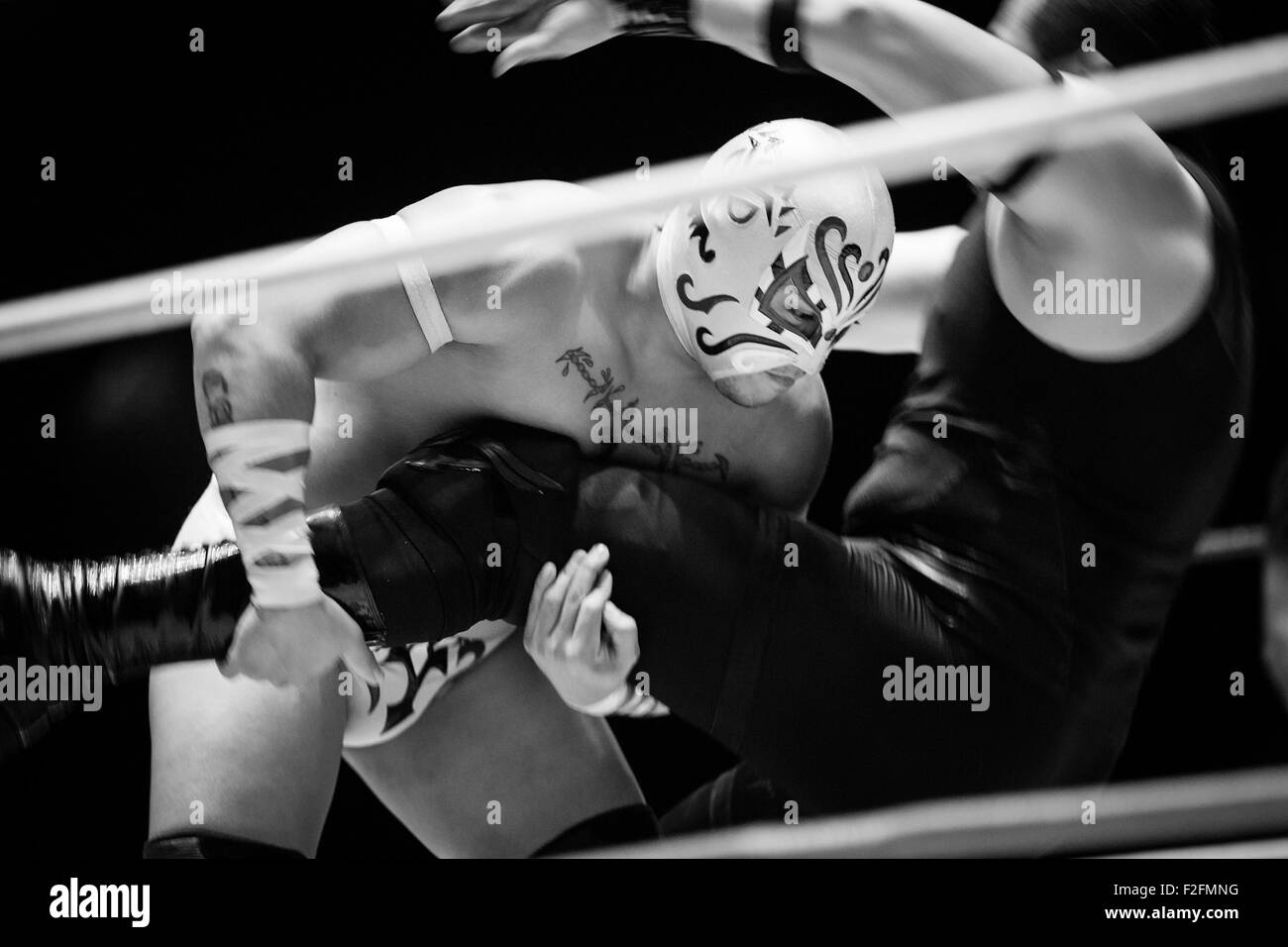 Cmll hi-res stock photography and images - Alamy