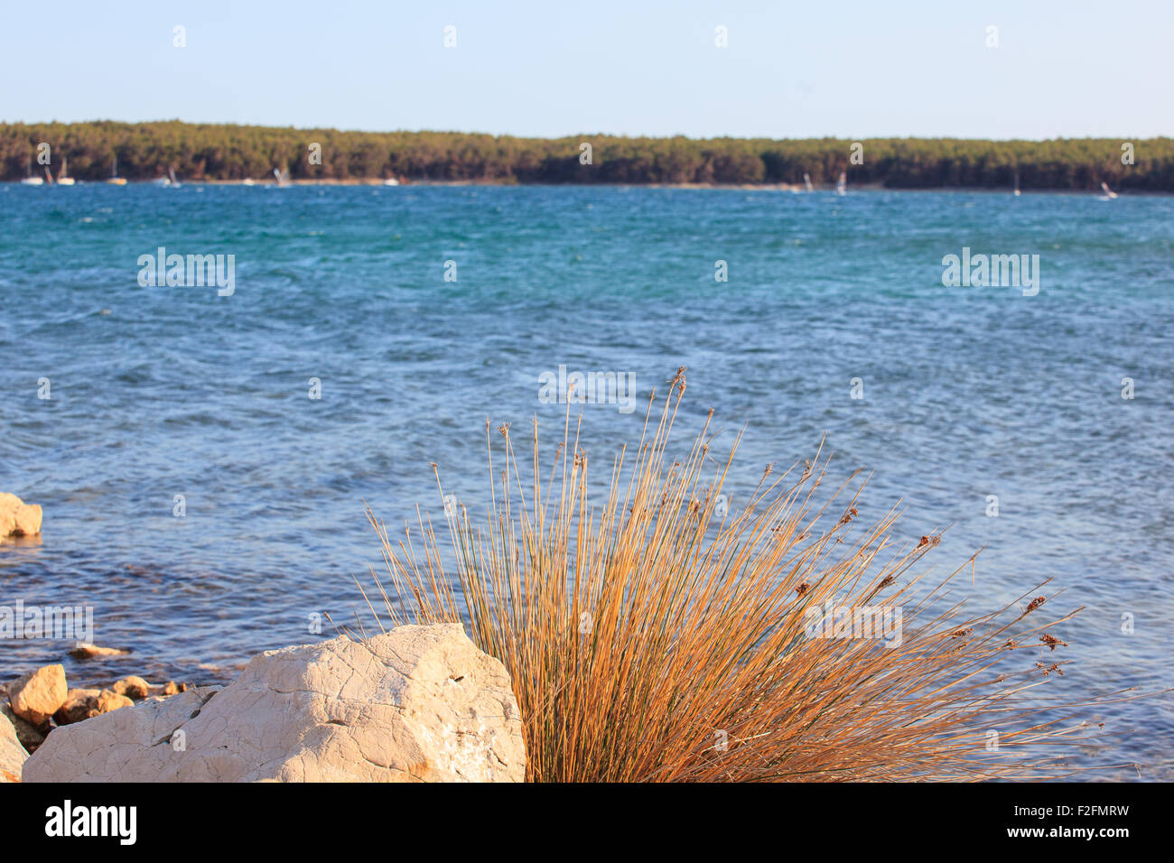 Punat hi-res stock photography and images - Alamy