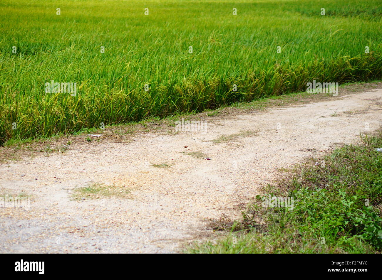 Filed road hi-res stock photography and images - Alamy