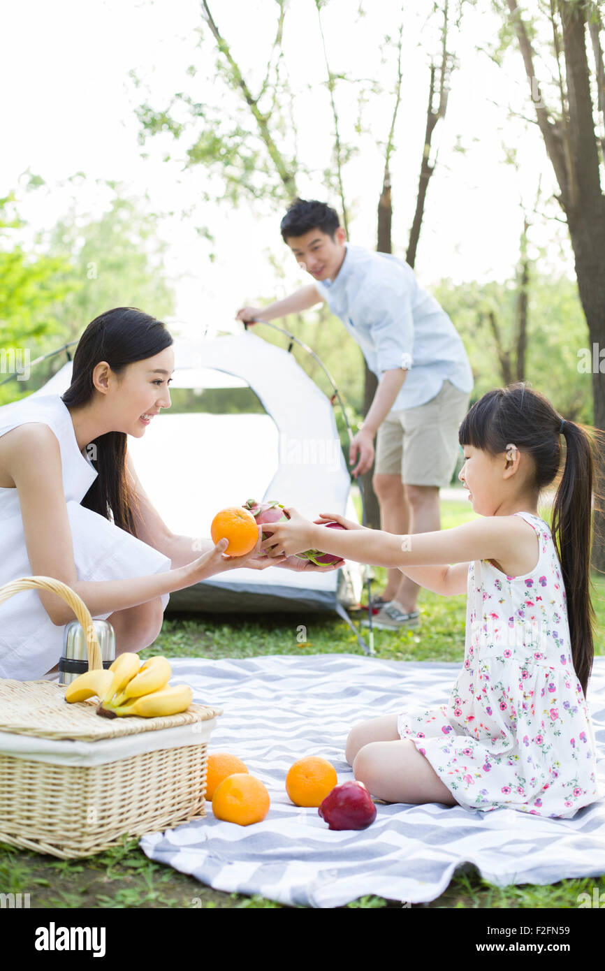 Indian family picnic hi-res stock photography and images - Alamy