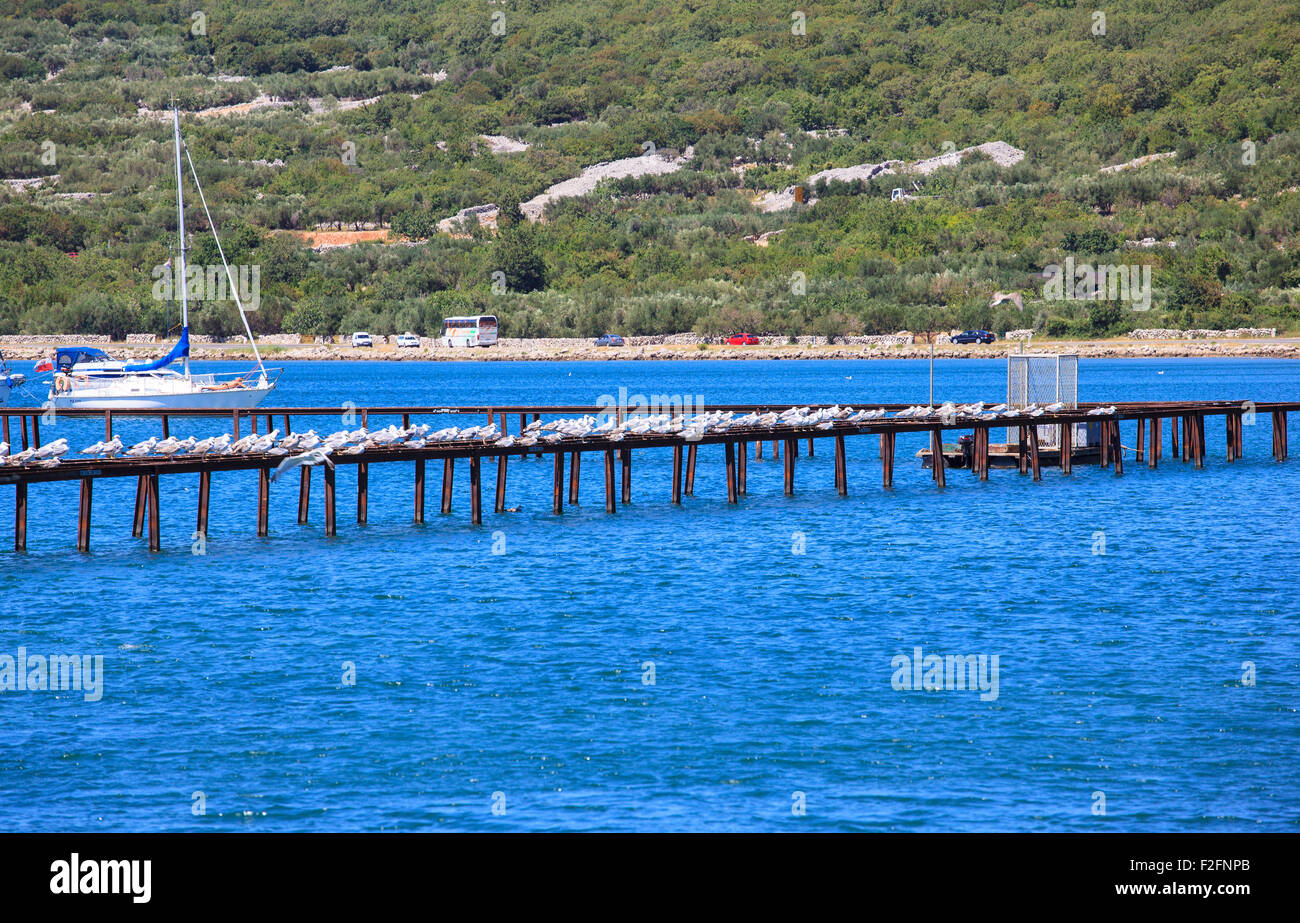 Punat hi-res stock photography and images - Alamy