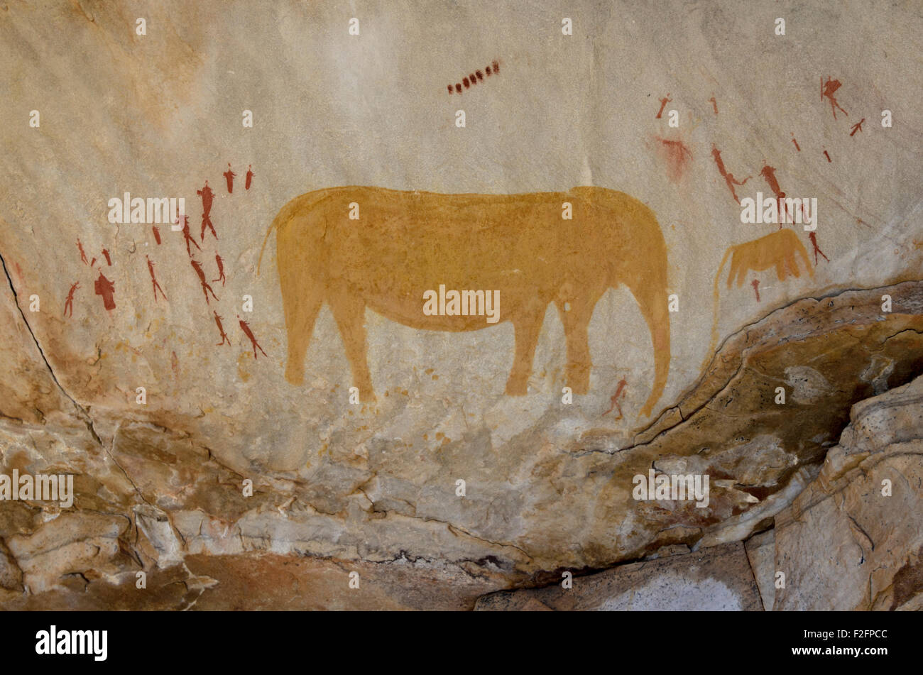Rock art in the Cederberg mountains, South Africa Stock Photo - Alamy