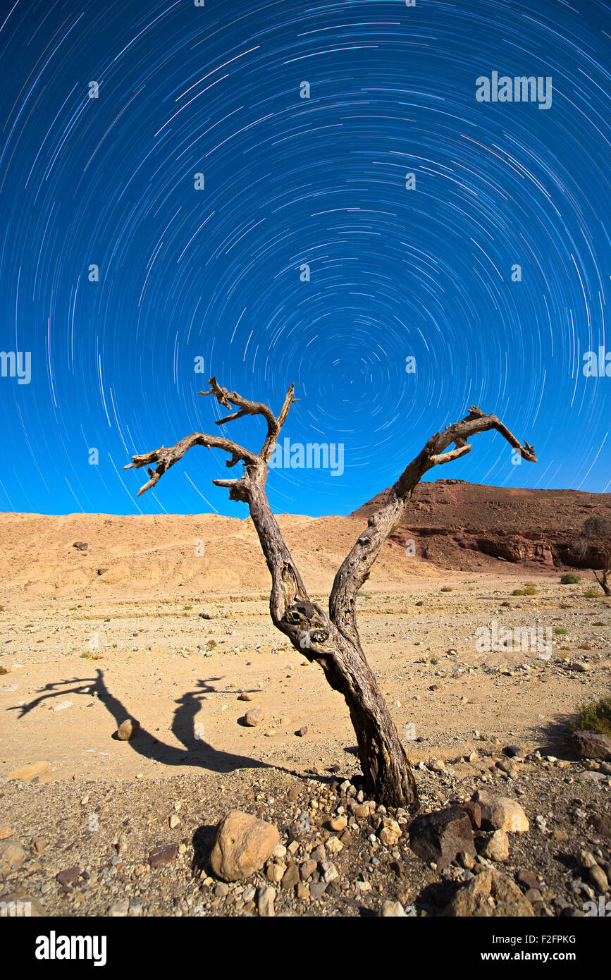 Star trails hi-res stock photography and images - Alamy
