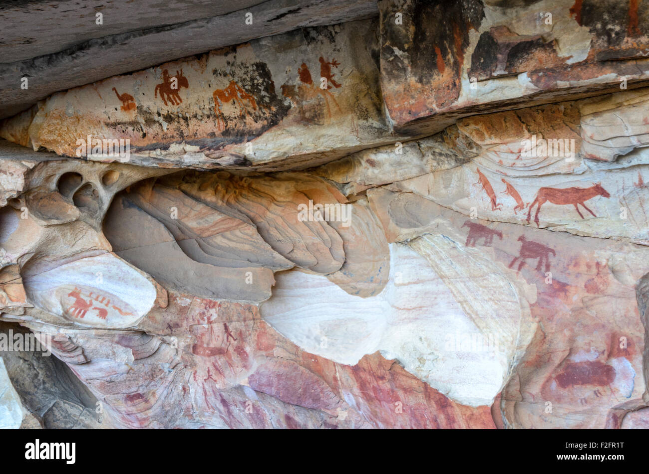 Rock art in the Cederberg mountains, South Africa Stock Photo - Alamy