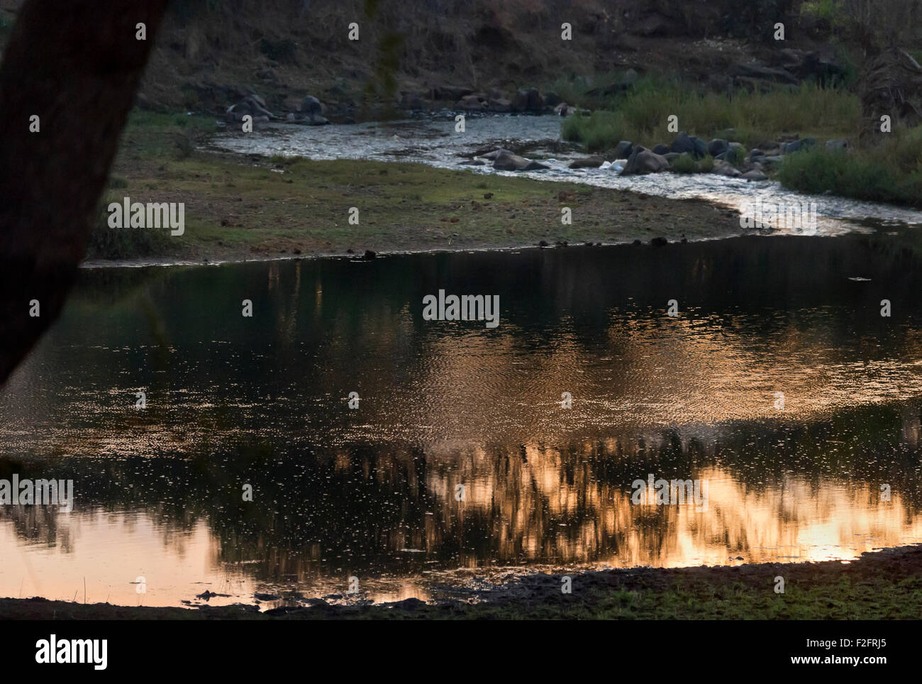 Letaba river hi-res stock photography and images - Alamy
