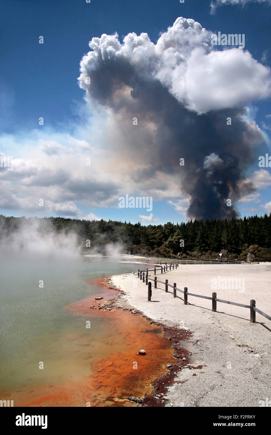 Forest fire in the Wai-o-Tapu geothermal area in Rotorua, North Island ...