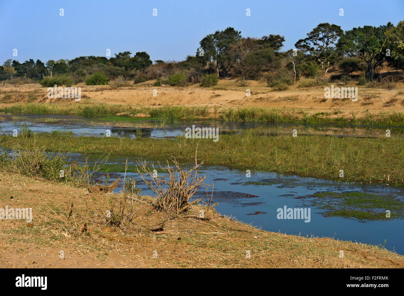Letaba river hi-res stock photography and images - Alamy