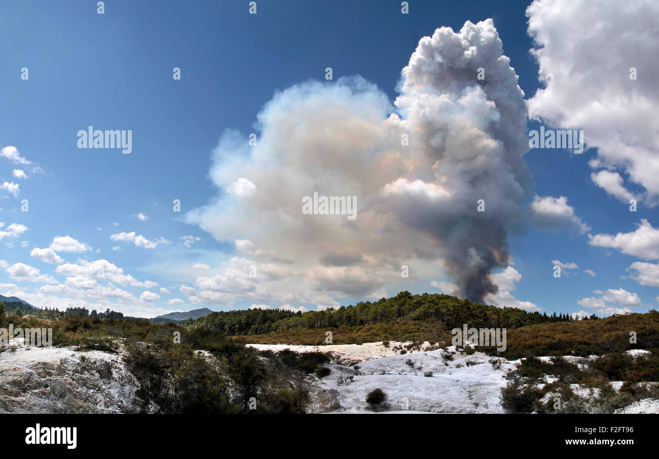 Forest fire in the Wai-o-Tapu geothermal area in Rotorua, North Island ...