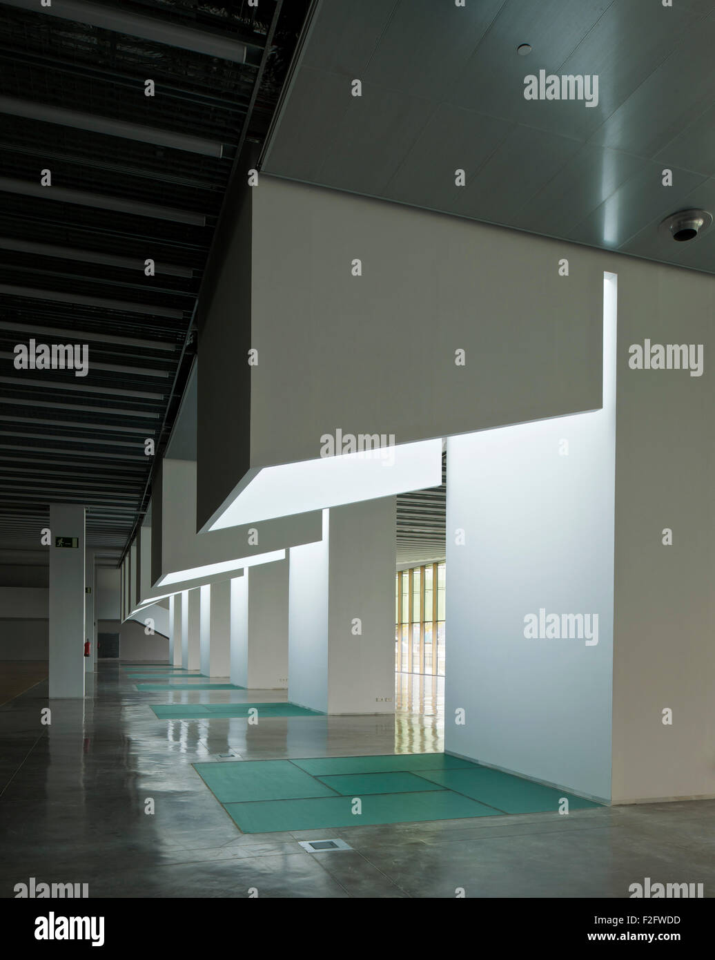 Perspective of skylight columns in ground floor gallery. Museu del ...